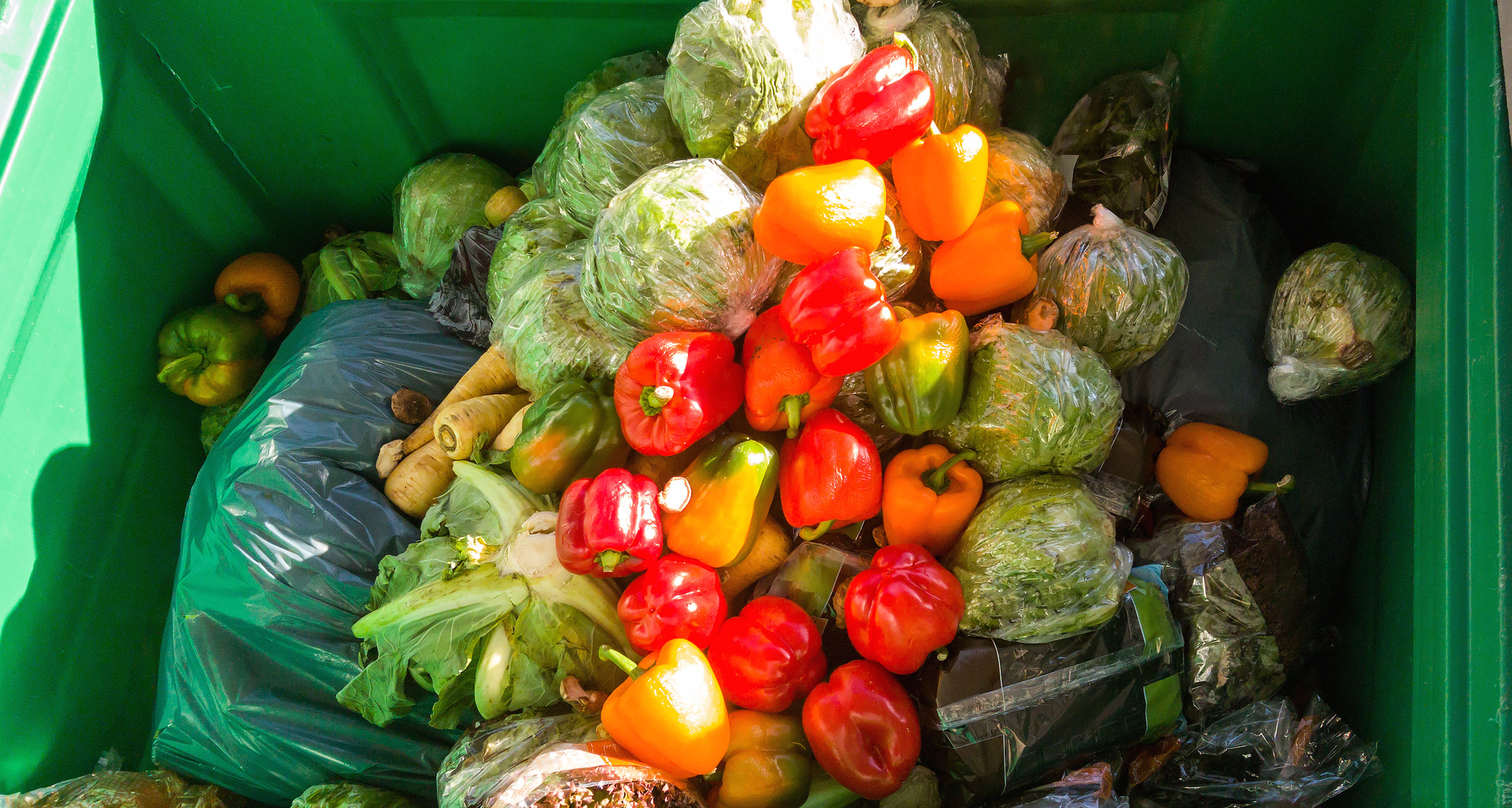 Food Spoilage Is A Bigger Problem Than You Think Part 1 2 Food Spoilage Is A Bigger Problem Than You Think Part 1 2